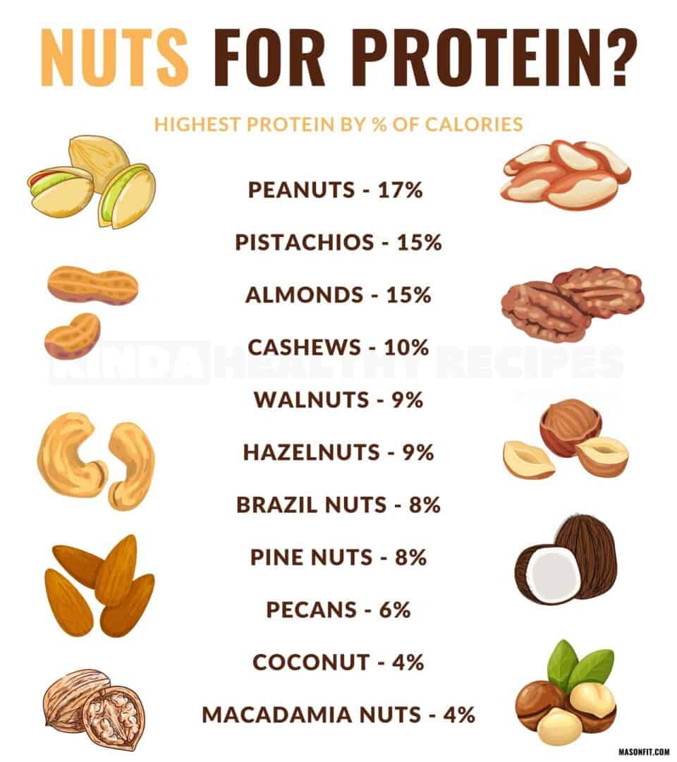 The Top 20 Highest Protein Nuts and Seeds