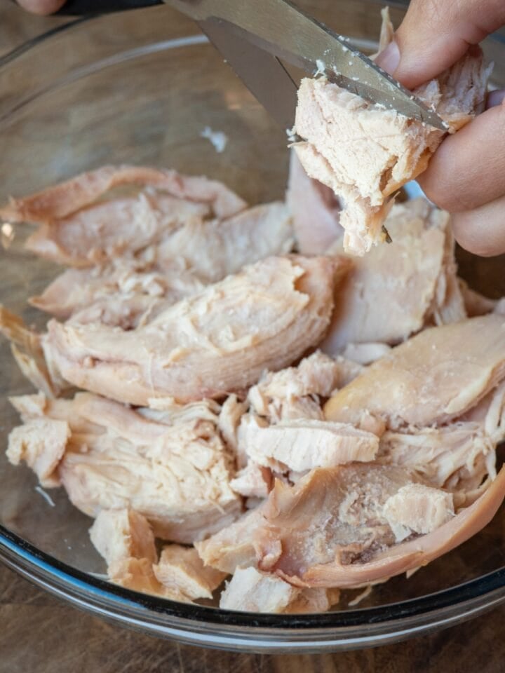 Every Way to Make Shredded Chicken (with Recipe Examples)